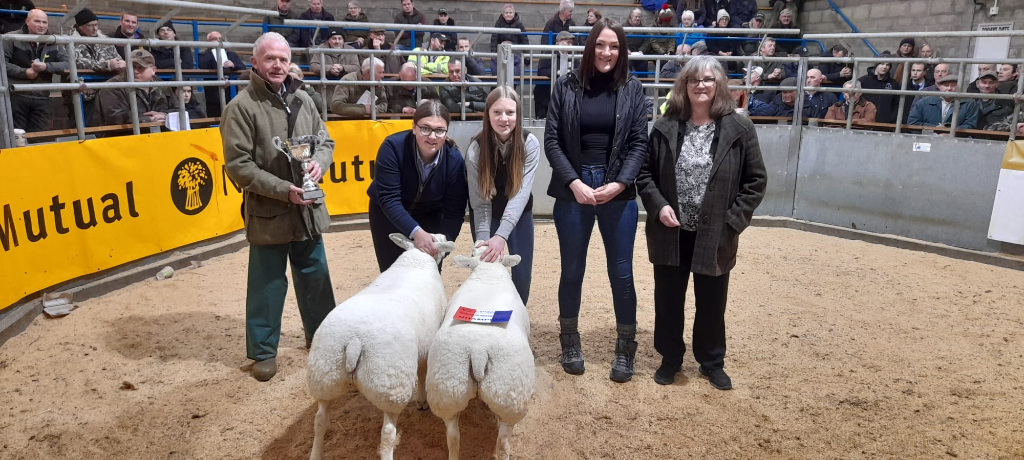 Success at Caithness Christmas Show and Sale - Aberdeen and Northern Marts