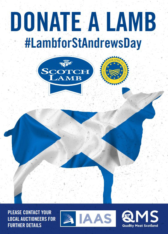 ANM Group Supports 2023 Lamb for St Andrews Day Campaign - Aberdeen and ...