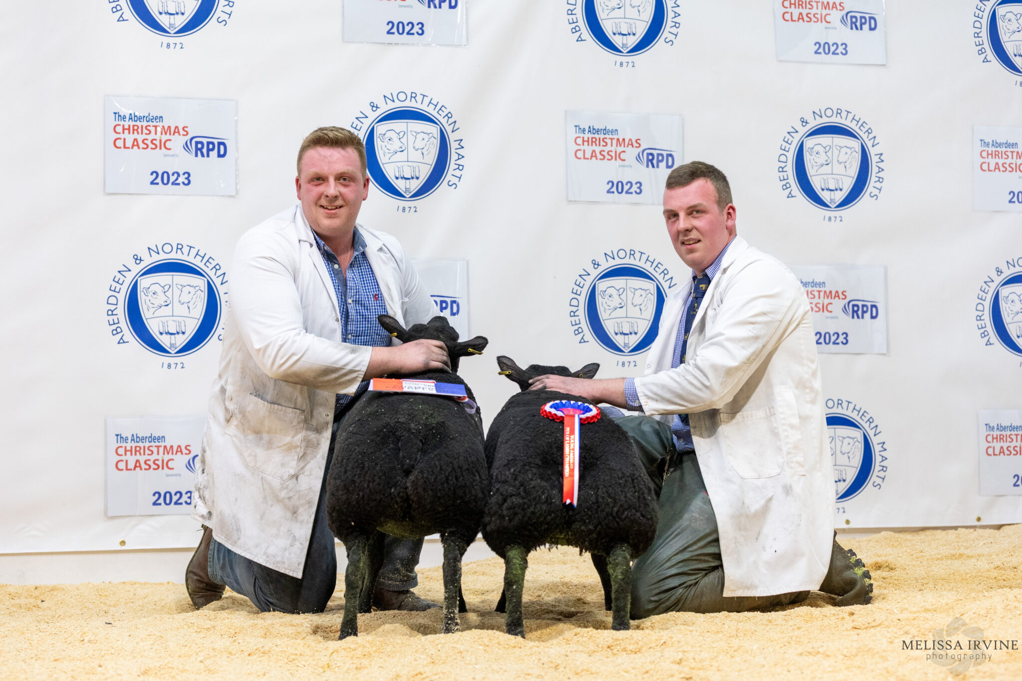 Cairness Tops Aberdeen Christmas Classic prime lambs at £350 per head ...