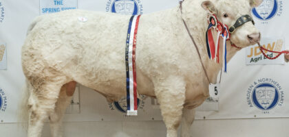 Aberdeen & Northern Marts - Delivering for Agriculture Businesses