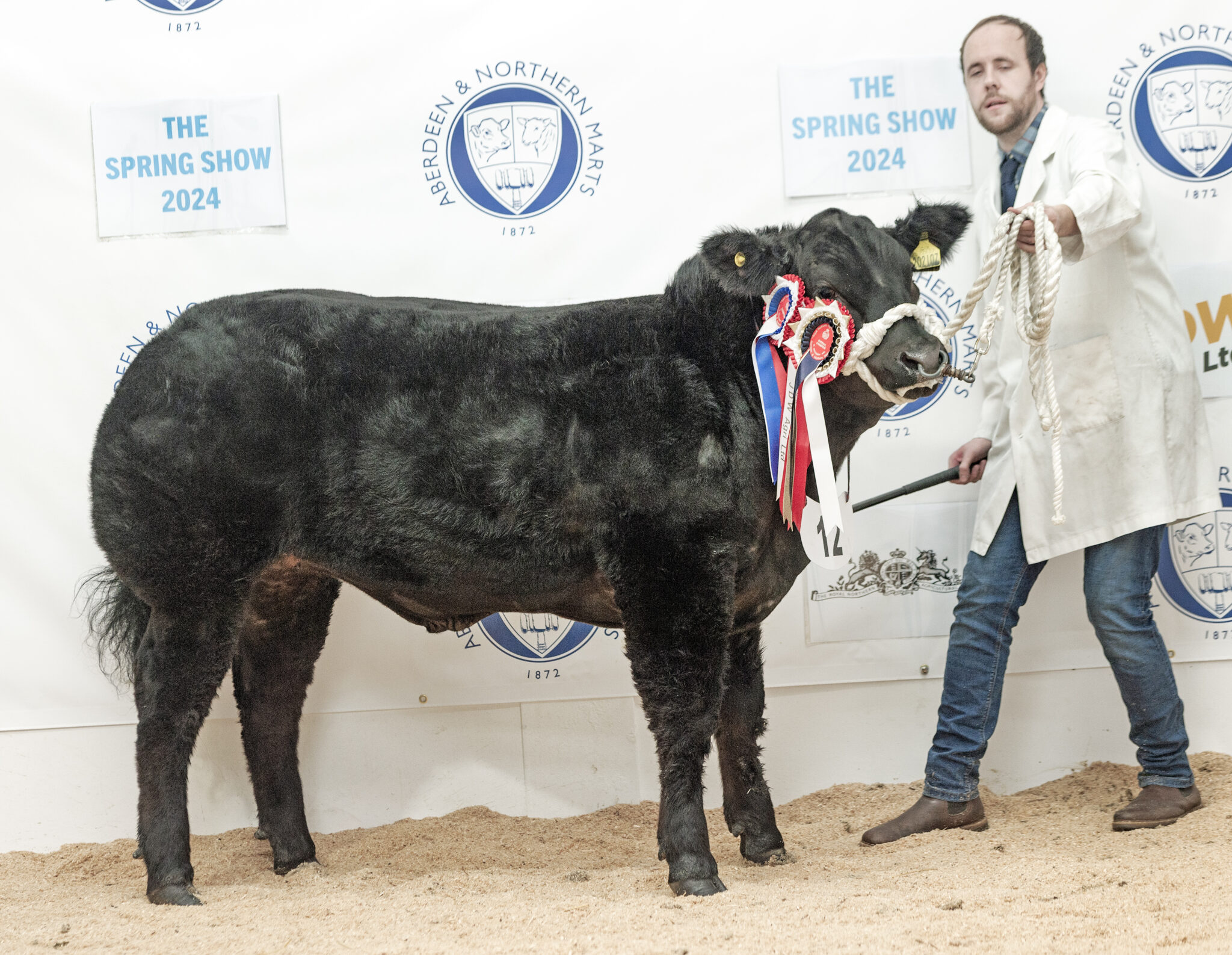 Fodderletter Farms take home the Exhibition Cattle Overall Championship ...