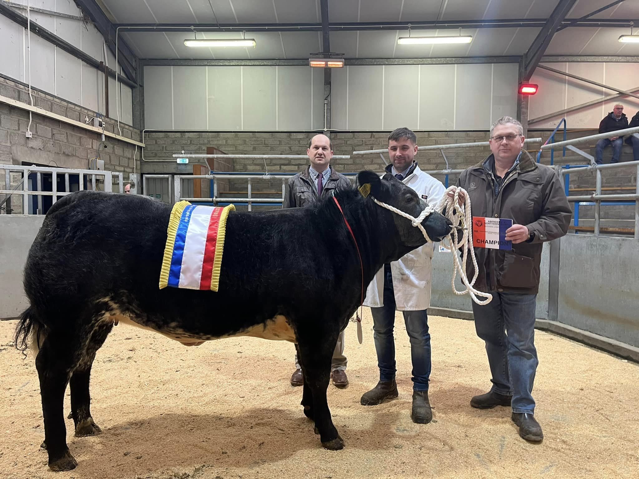 Hannah Levack takes overall champion at the Young Farmers Overwintering ...