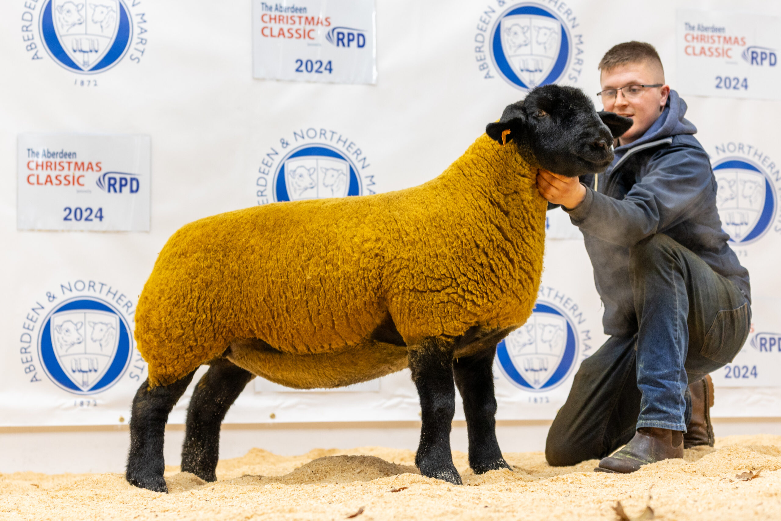 Birness tops Pedigree Female Sheep at Aberdeen Christmas Classic ...