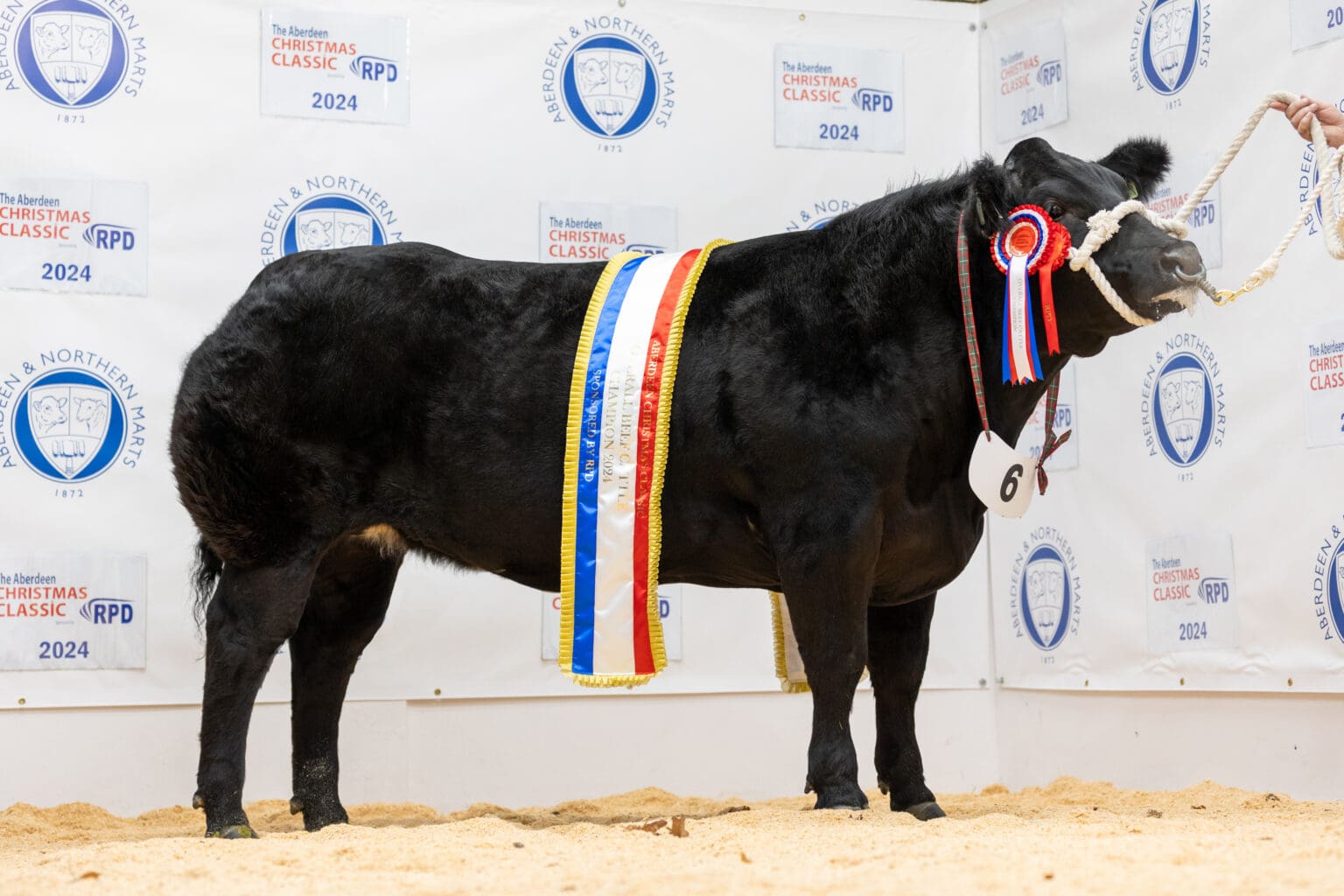 Special Livestock Events - Aberdeen and Northern Marts
