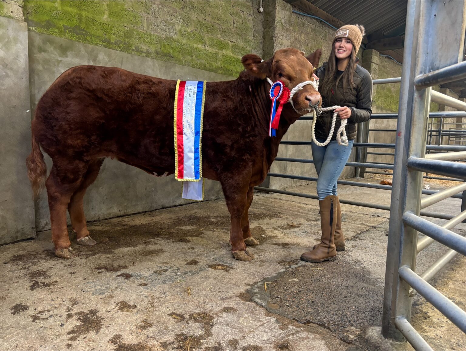 Begg family hail championship at the Caithness Christmas Show for third ...
