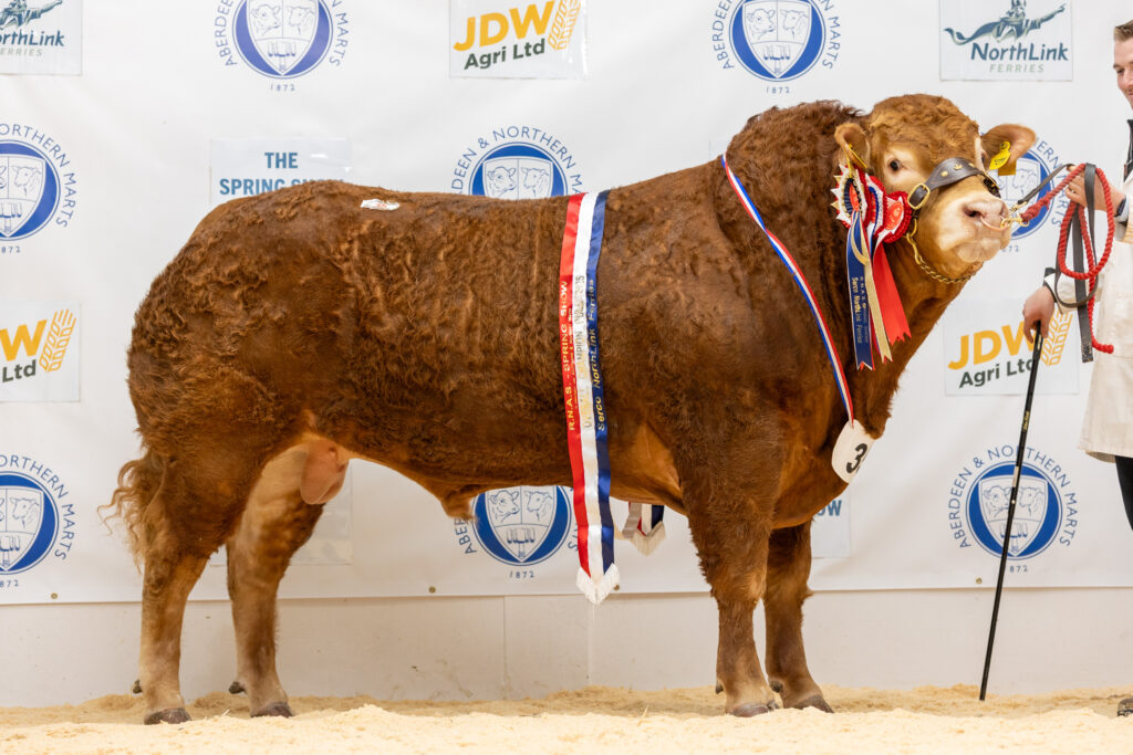 Bonnykelly Upperclass Tops Bull Sale at 16,000gns - Aberdeen and ...