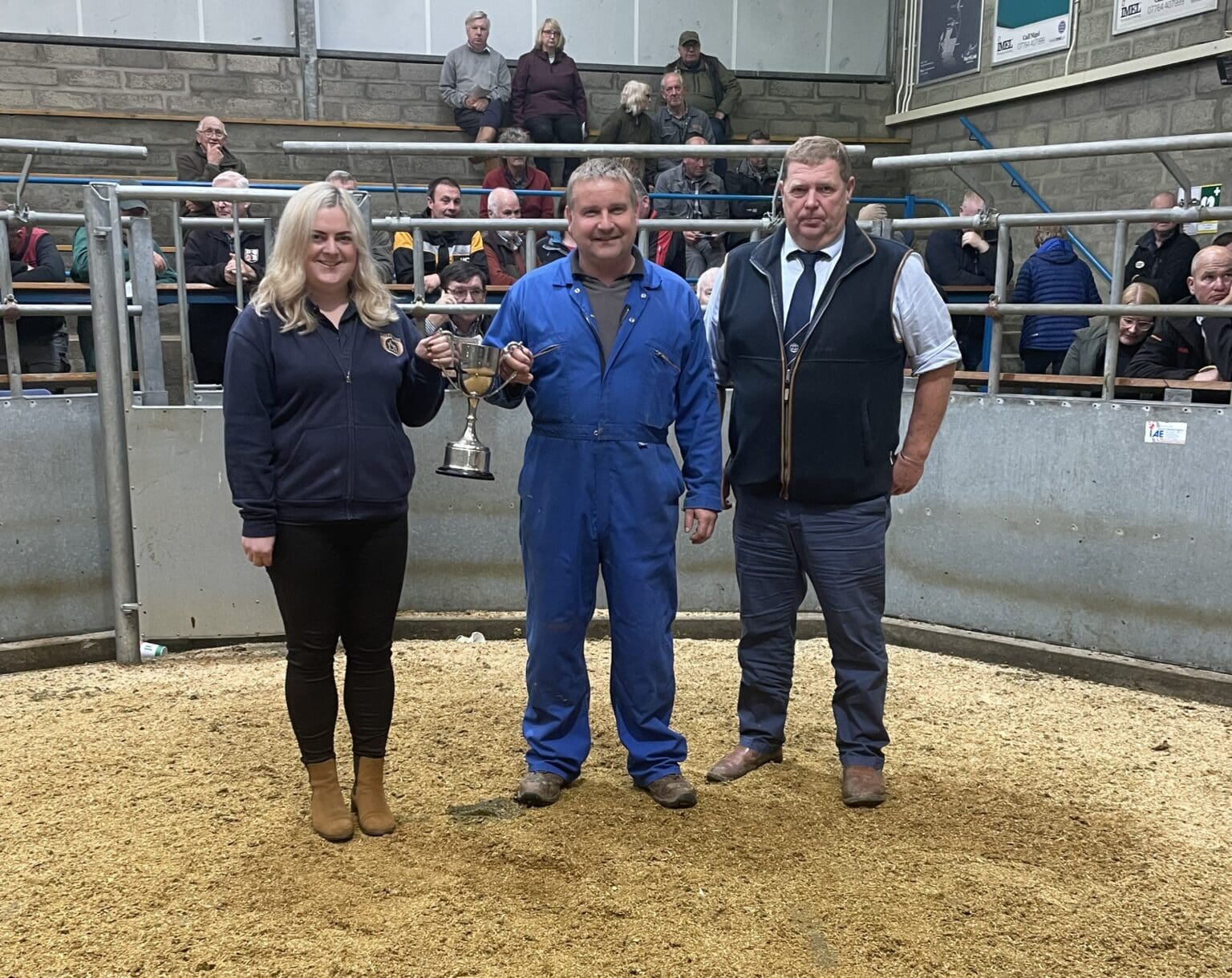 Strong Entry for Anniversary Show and Sale of Store Cattle at Quoybrae ...